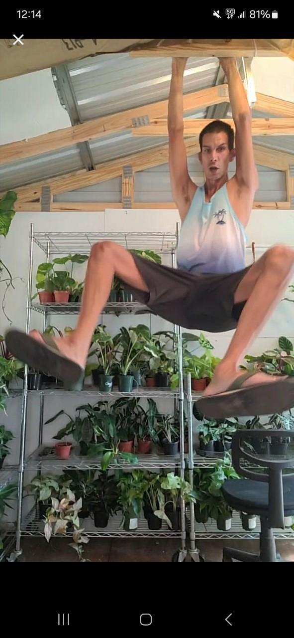 Hanging Friday live 30 plant's at a 1 dolla holla