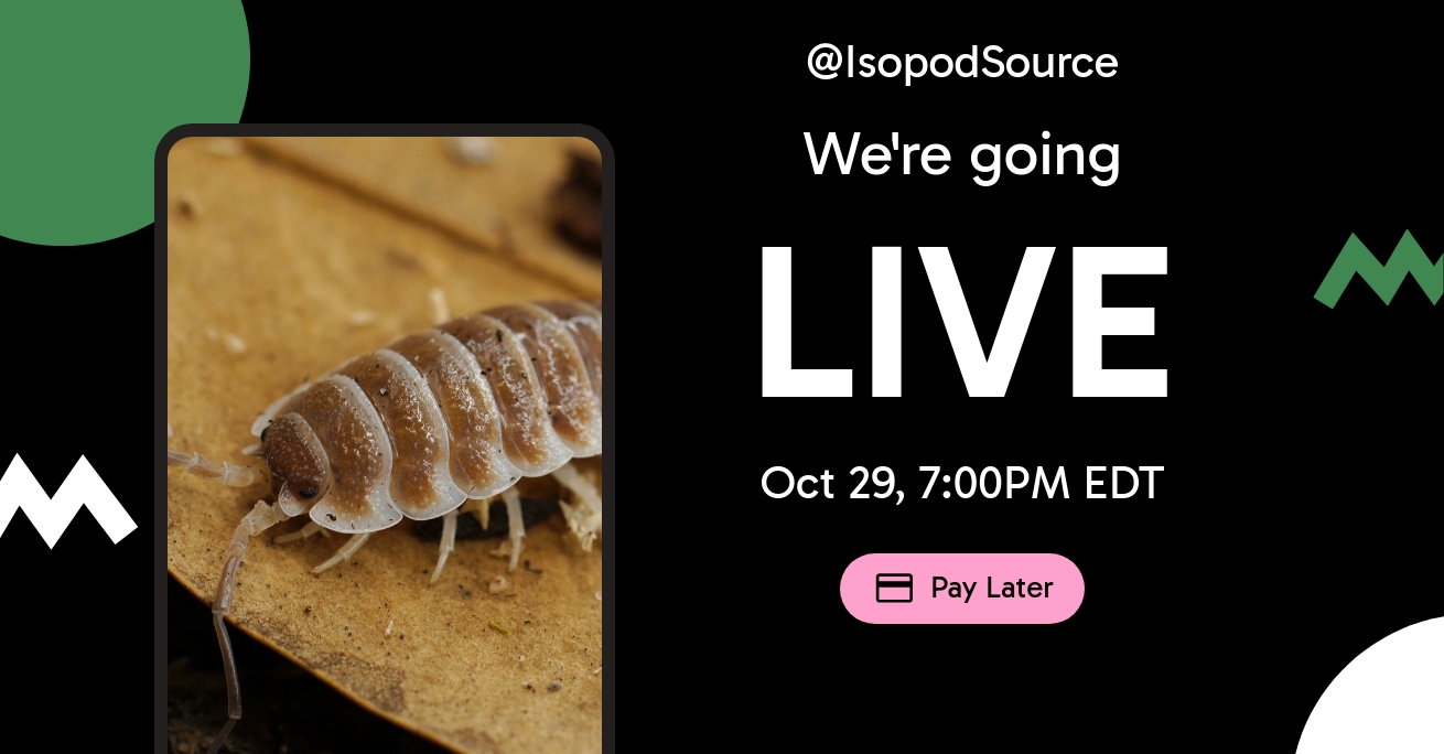 Live #11 Isopod Source 😎🔥🔥🔥
