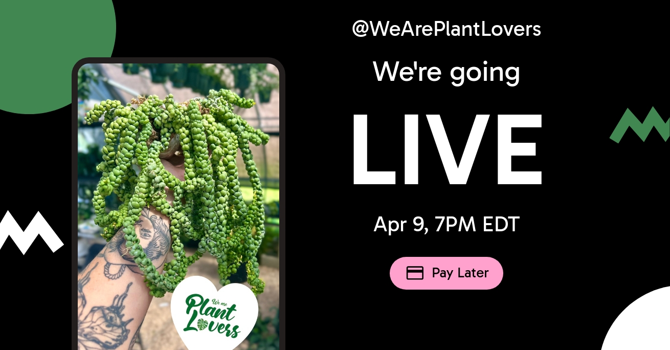 Woohoo Wednesday! 🎉