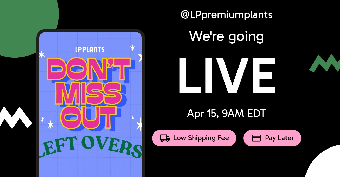 LEFT OVER TUESDAY live