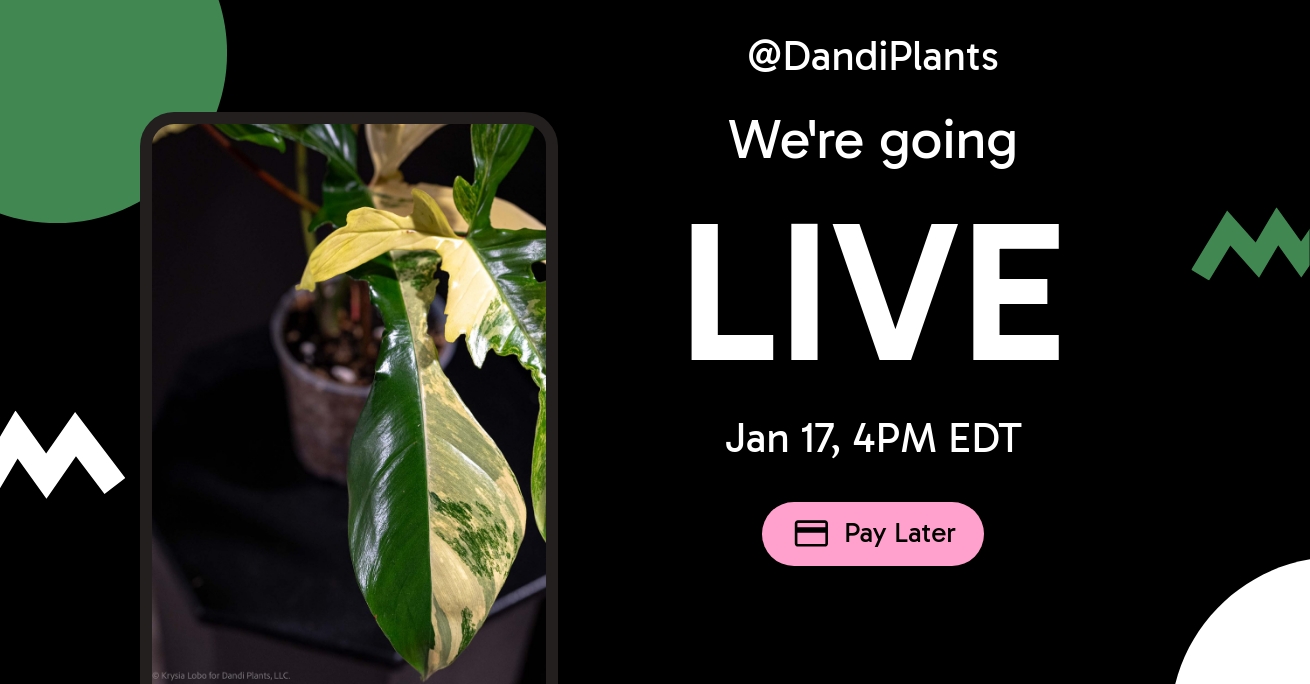 It’s Friday Then🫣