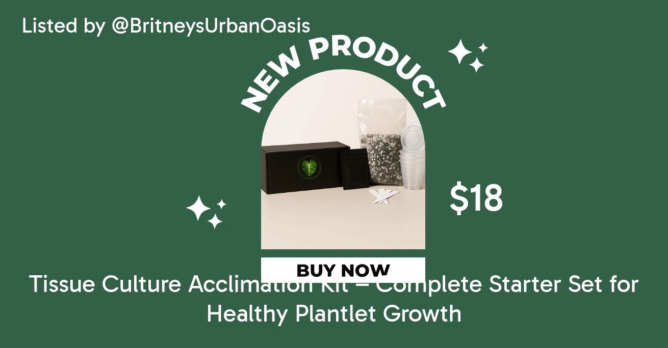 Tissue Culture Acclimation Kit – Complete Starter Set for Healthy ...