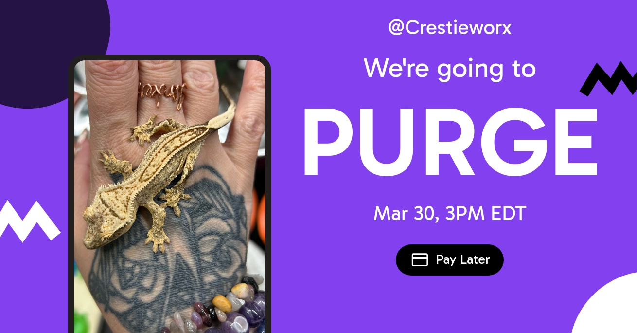 🦎Gecko Purgie Purge Sale 👀be geckos and price cuts galore