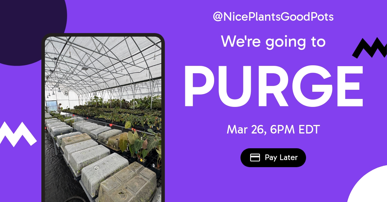 Nice Plants Greenhouse Purge
